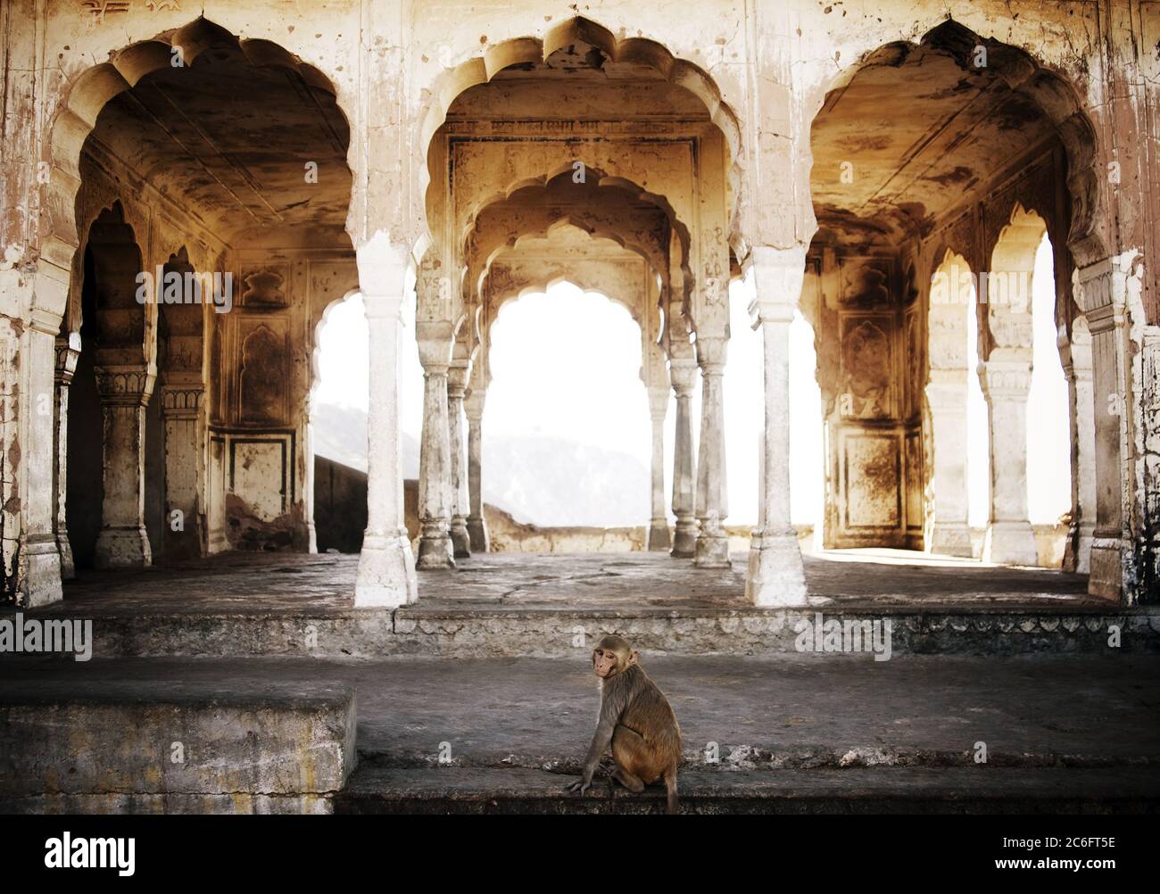 Monkey temple india hi-res stock photography and images - Alamy