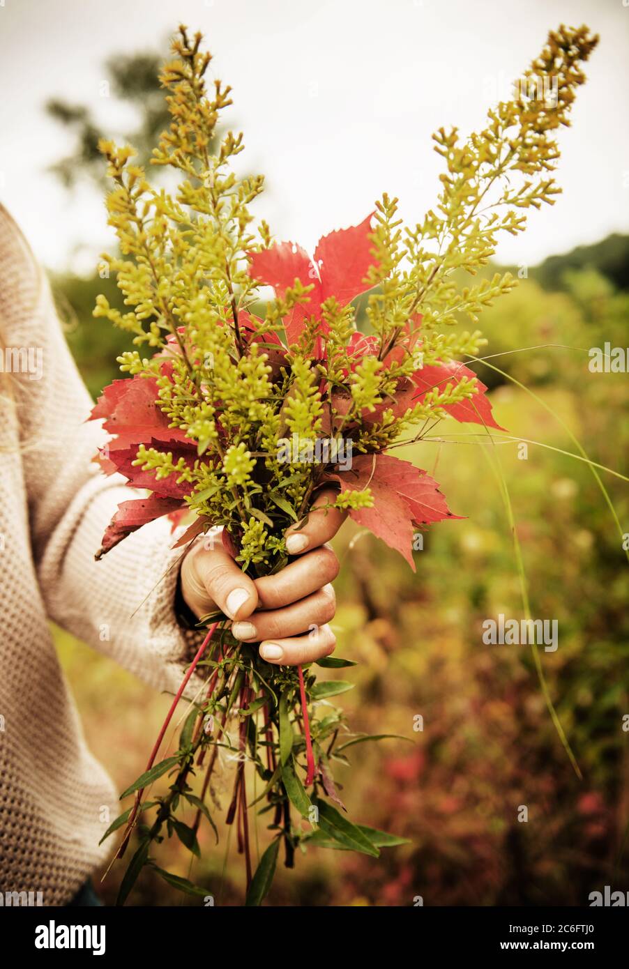 Woman leaves foliage hi-res stock photography and images - Alamy