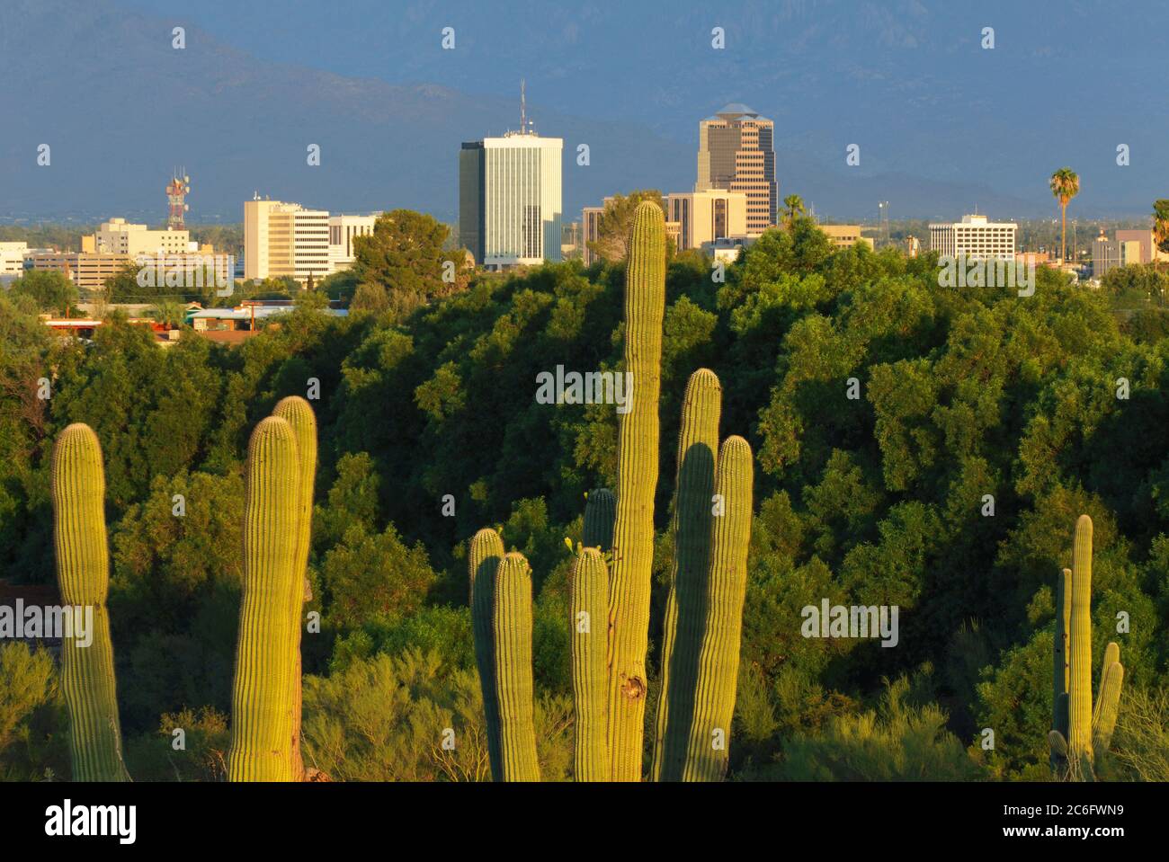 Tucson skyline hi-res stock photography and images - Alamy