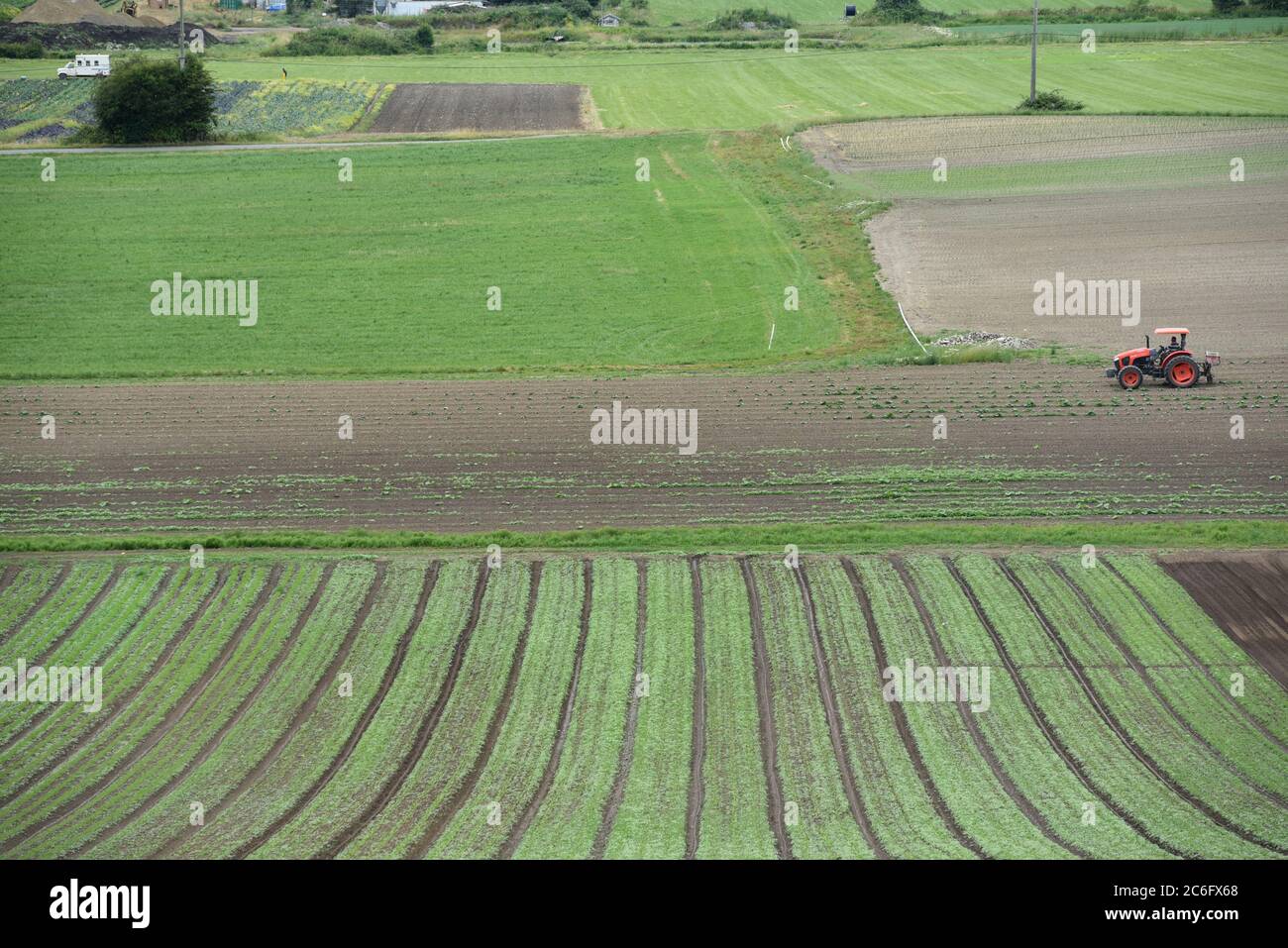 Employment in agriculture hi-res stock photography and images - Alamy