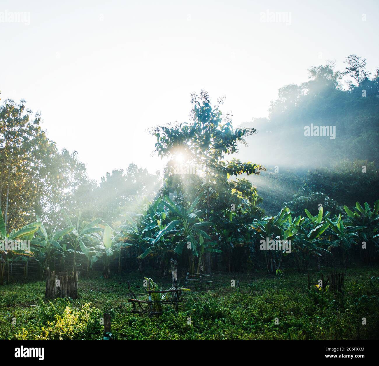 Sun yang ban hi-res stock photography and images - Alamy