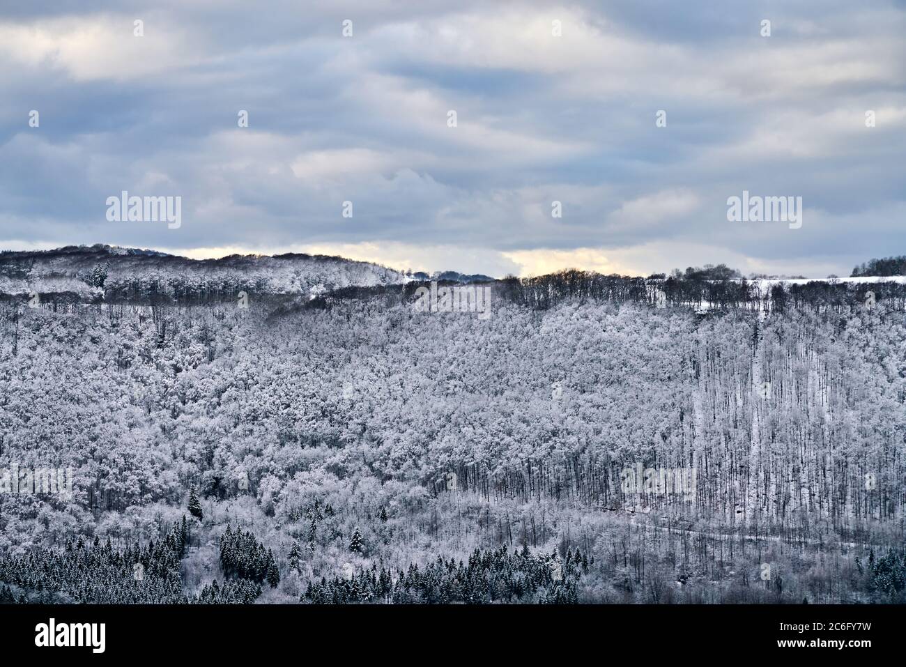 Forrest snow hi-res stock photography and images - Alamy
