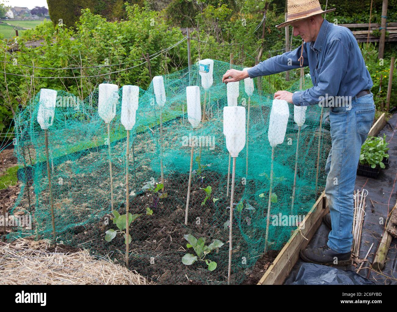 Protective crop netting hi-res stock photography and images - Alamy