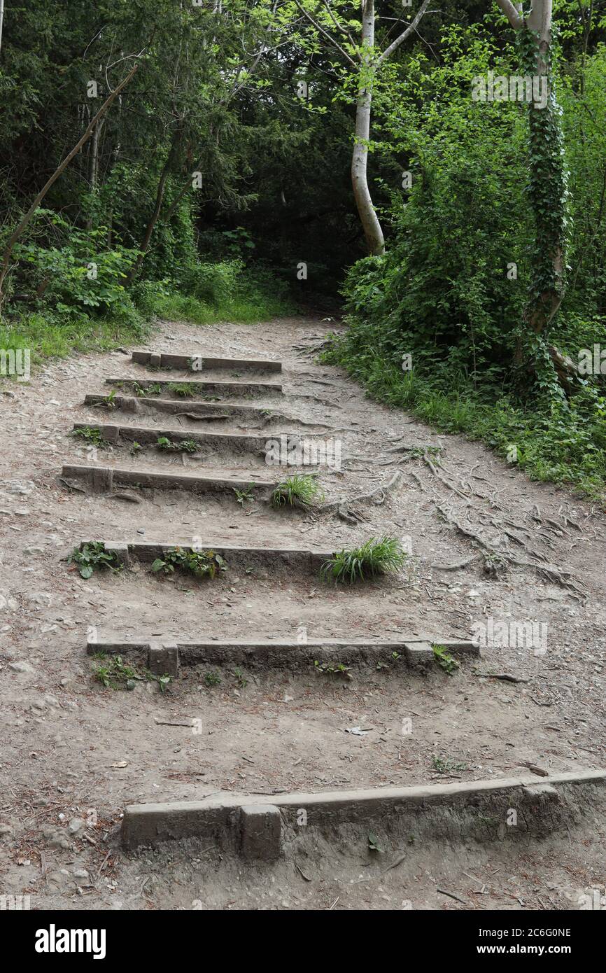 Steps Going Up Box Hill Stock Photo - Alamy