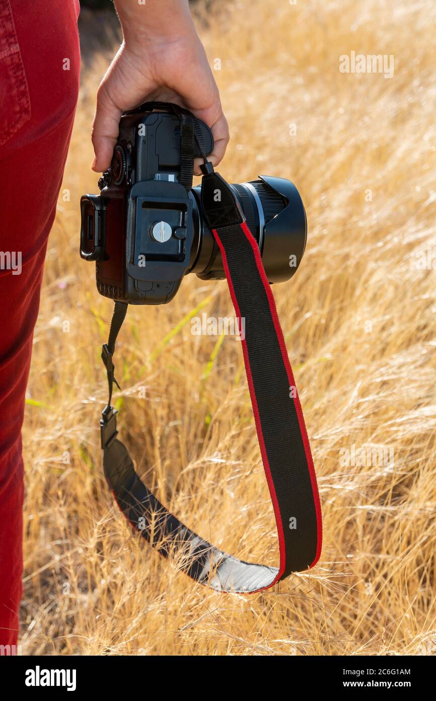 Female photographer capturing picture digital hi-res stock photography ...
