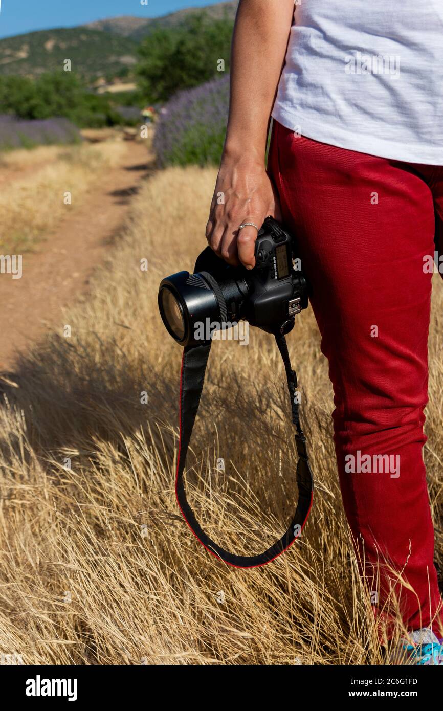Female photographer capturing picture digital hi-res stock photography ...