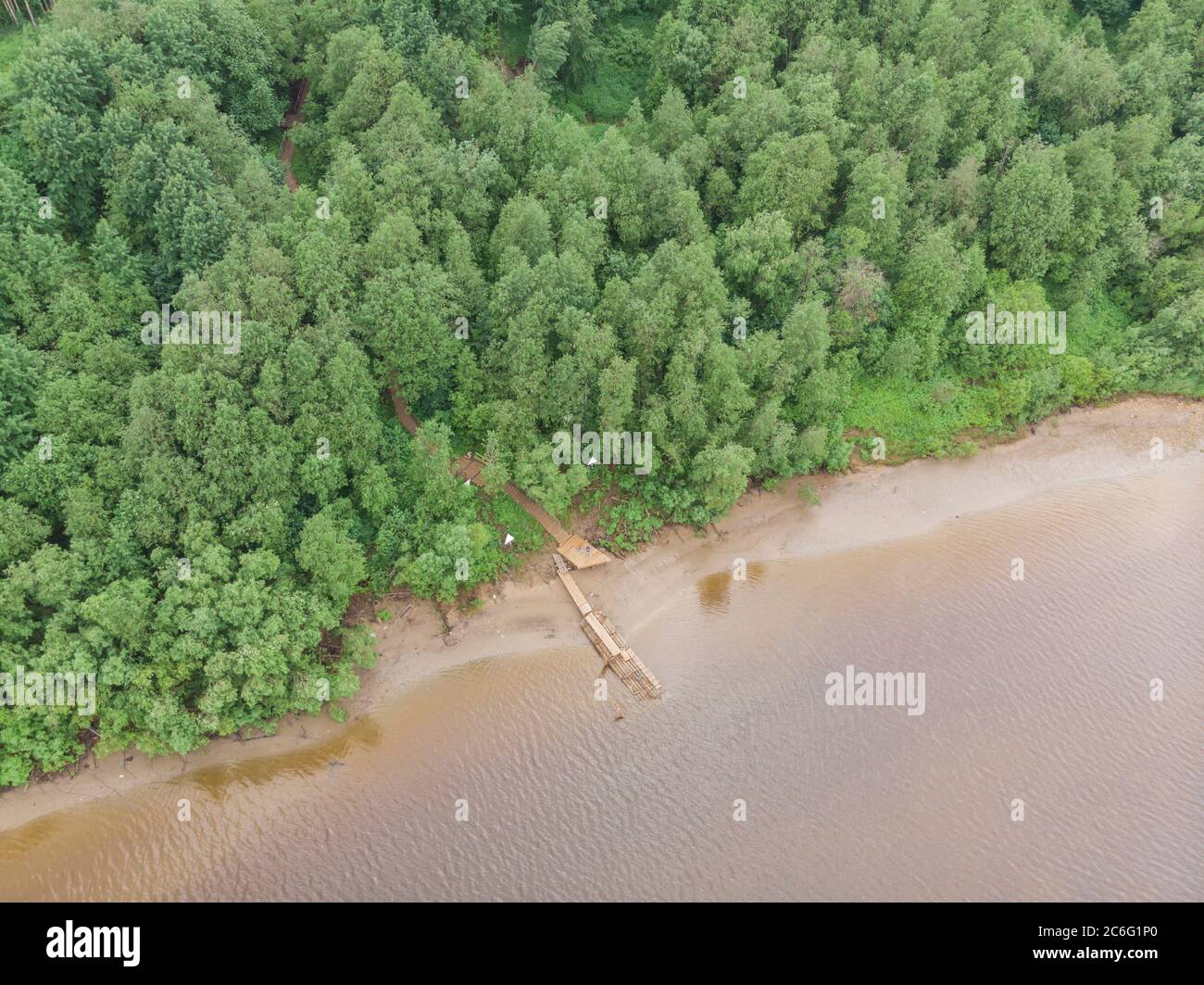 Edge forest hi-res stock photography and images - Alamy