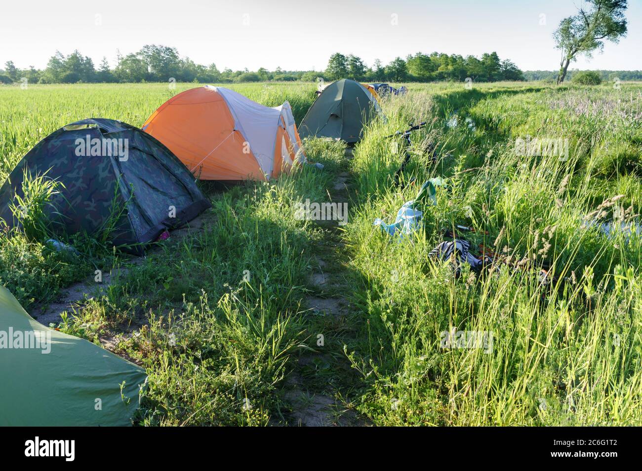 tourist camp in the swamp, camping tents in the wetlands Stock Photo ...