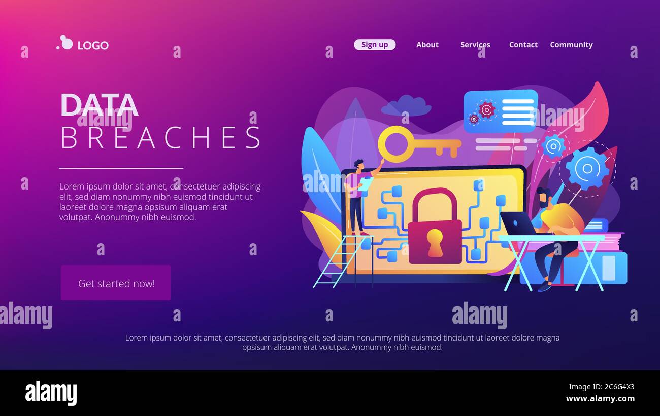 Cyber security expert Stock Vector Images - Alamy