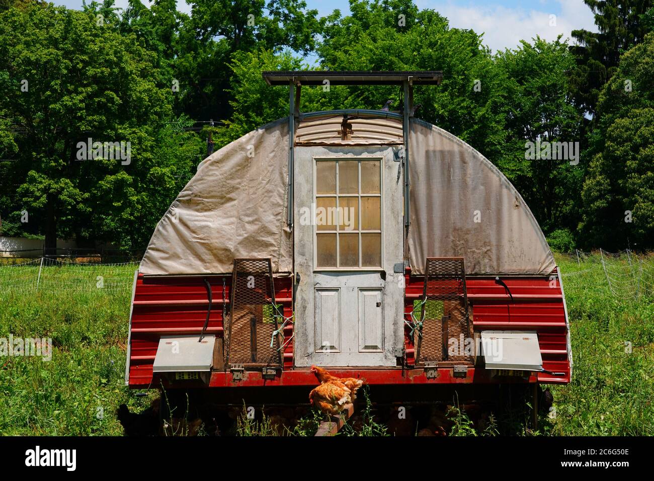 Chicken outside a hen house Stock Photo - Alamy
