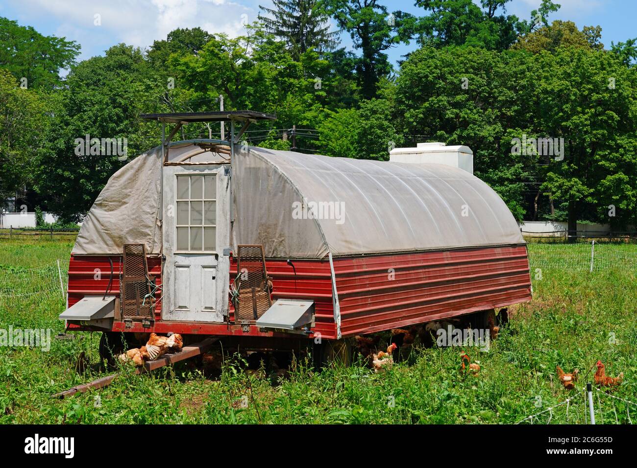 Chicken outside a hen house Stock Photo - Alamy