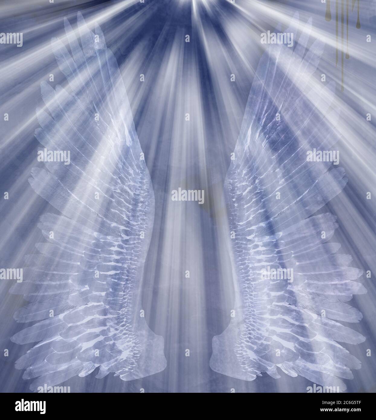 Ethereal angel wings hi-res stock photography and images - Alamy