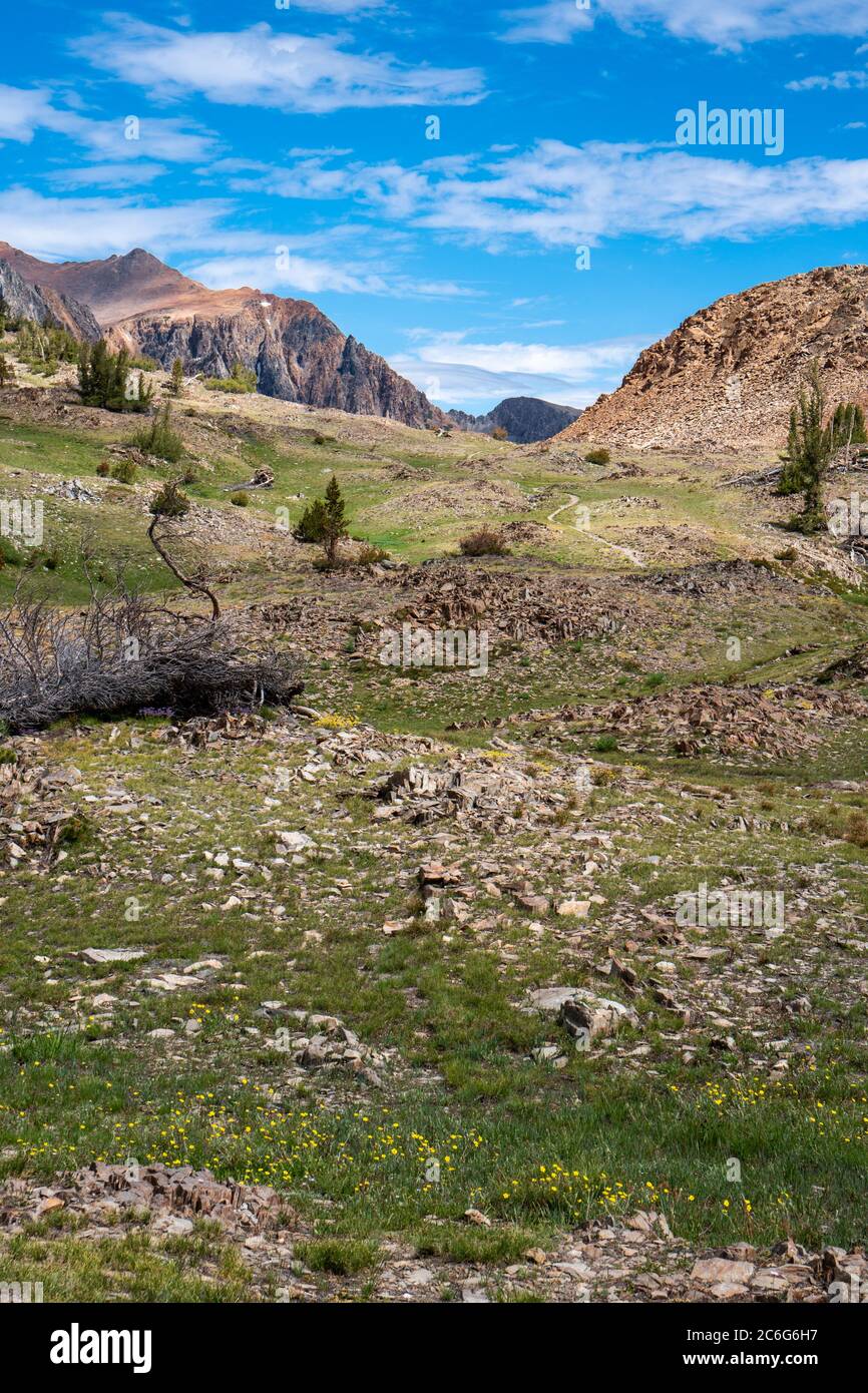 Meadow and mountains along the 20 Lakes Basin trail hike in California ...