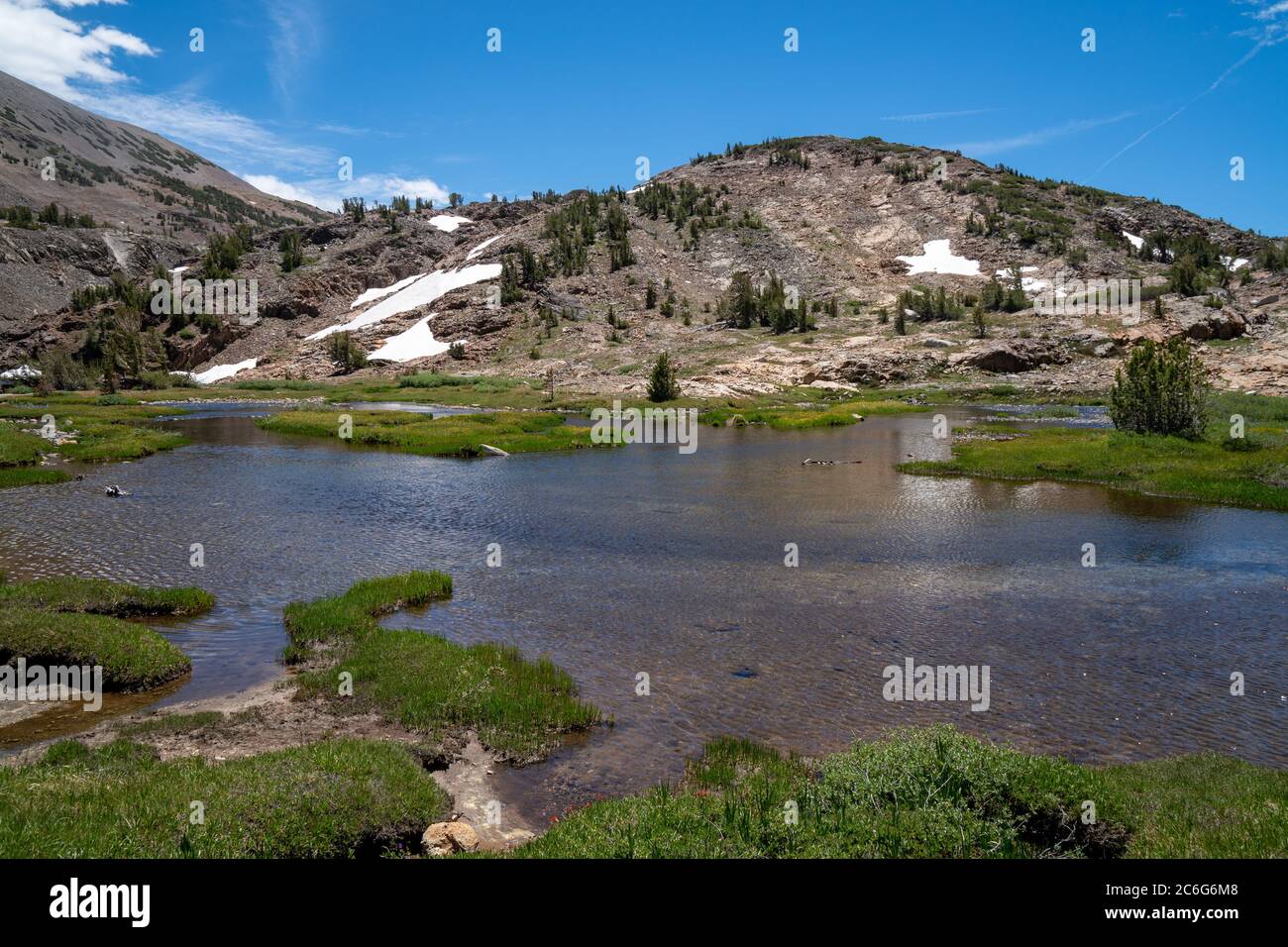 The 20 Lakes Basin trail in Mono County California in summer - Shamrock ...