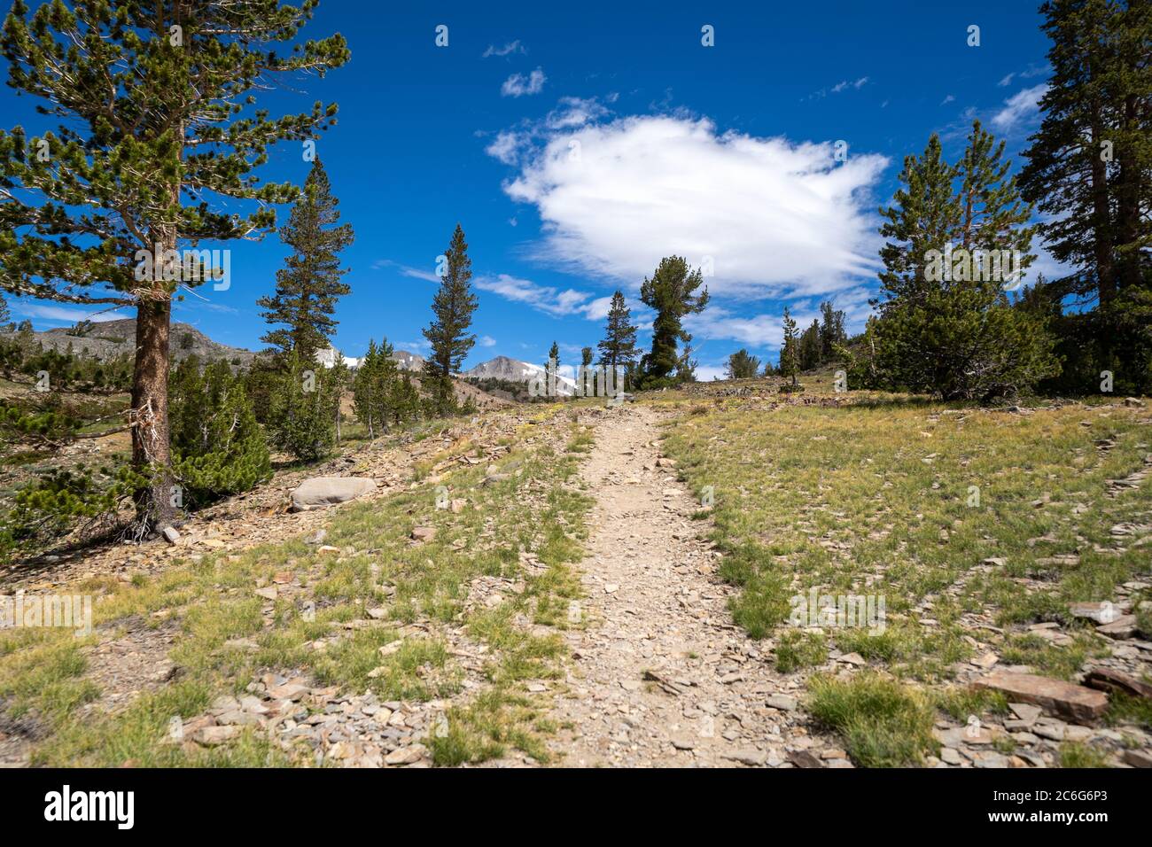 High alpine meadow scenery along the 20 Lakes Basin trail in the Sierra ...