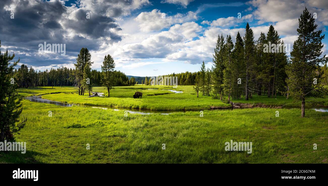 Yellowstone National Park is the first established national park in the ...
