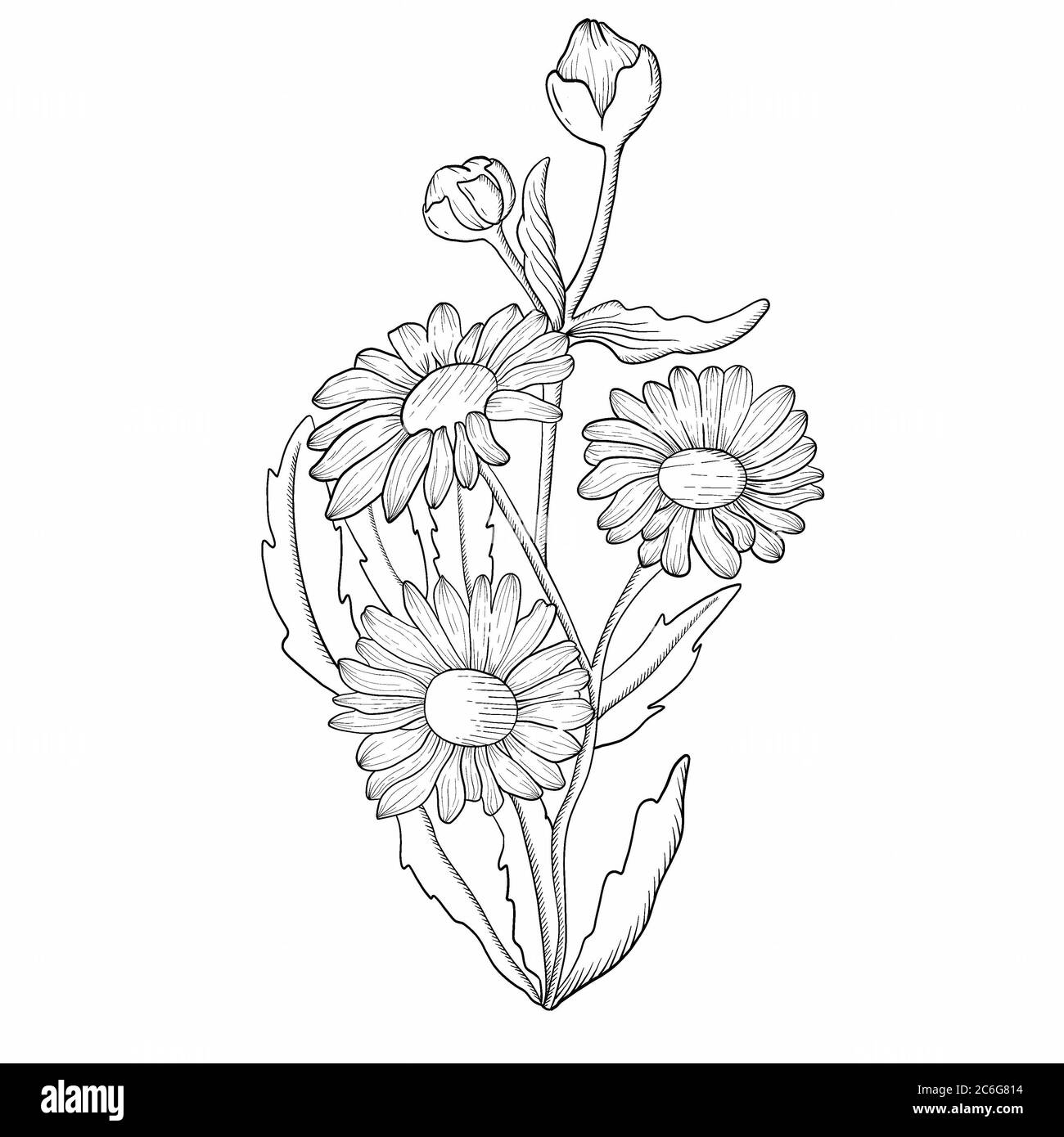 hand-drawn moon daisy sketch illustration graphic resource Stock Photo ...