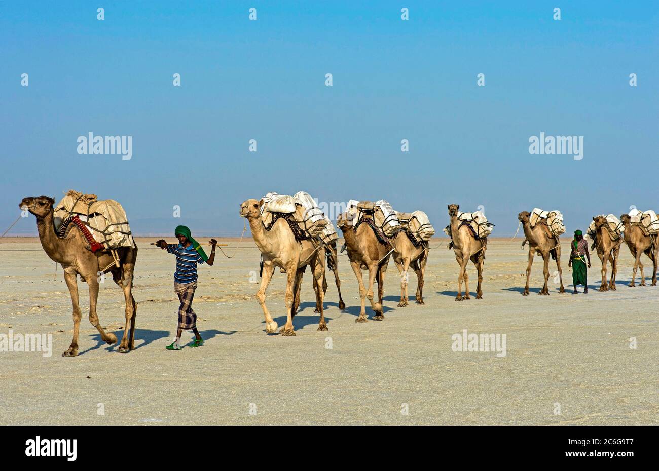 Afar region salt production hi-res stock photography and images - Alamy