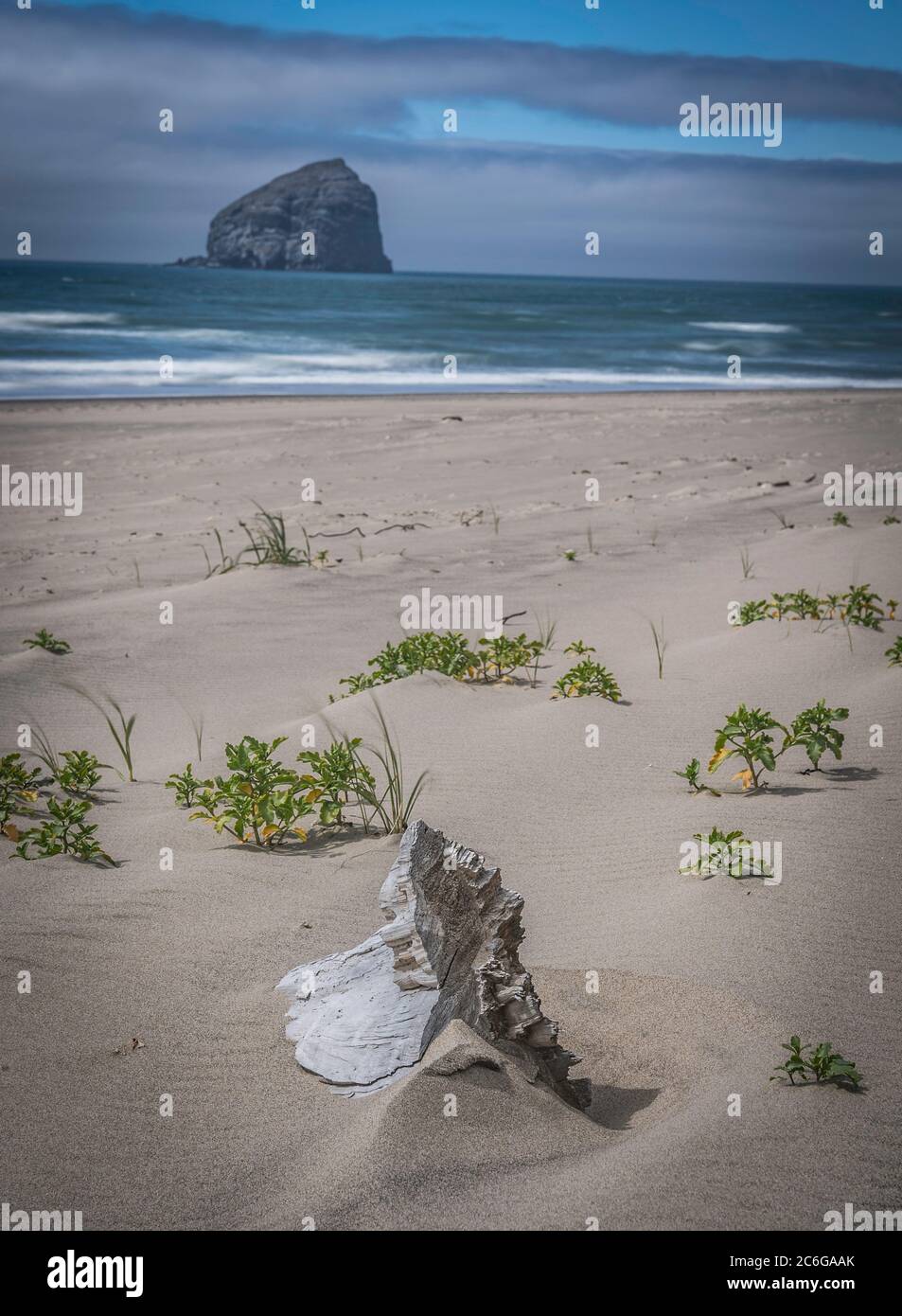 Haystack Rock, Bob Straub, State Park, Oregon Coast, USA, North America ...