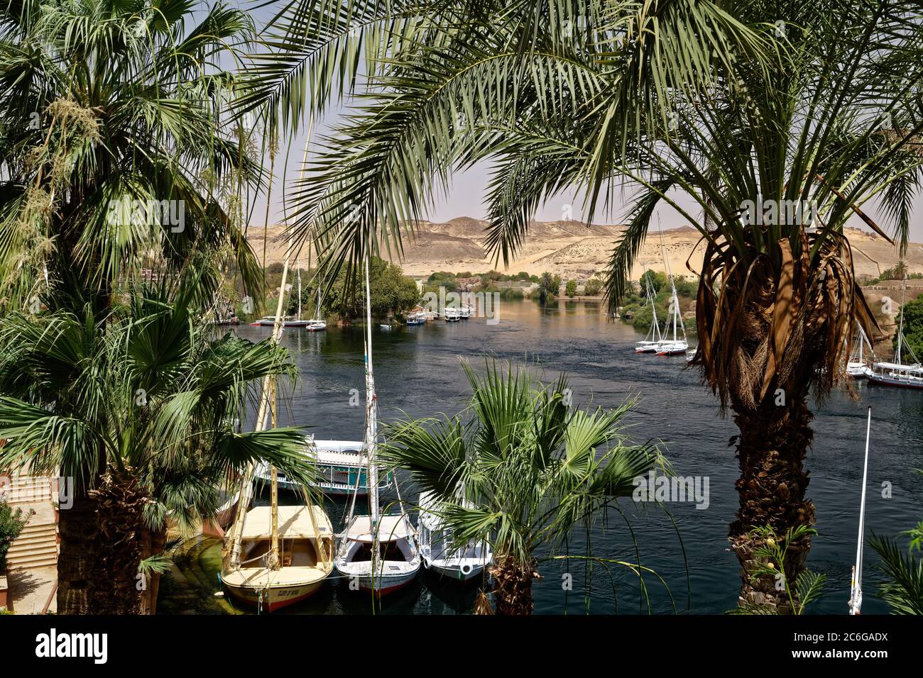 Looking out over the Nile River and Elephantine Island, from a terrace ...