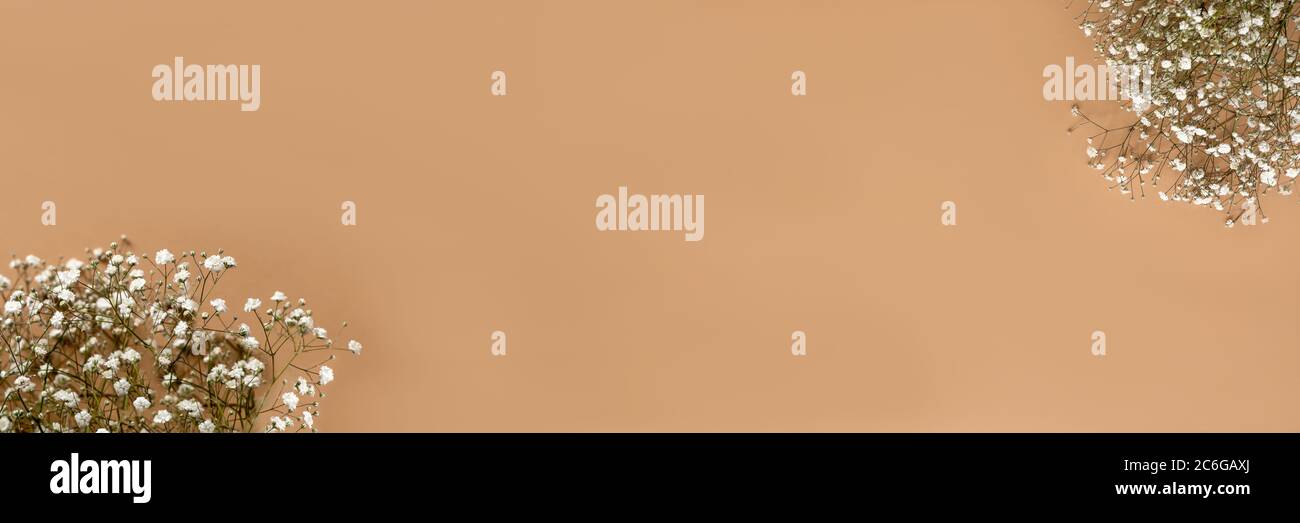 Twitter Headers White