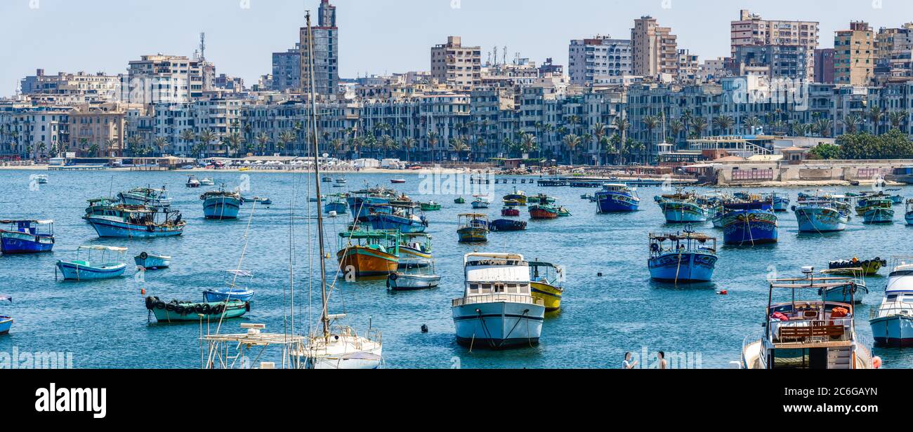 View of Alexandria East Harbour from White and Blue restaurant at the ...