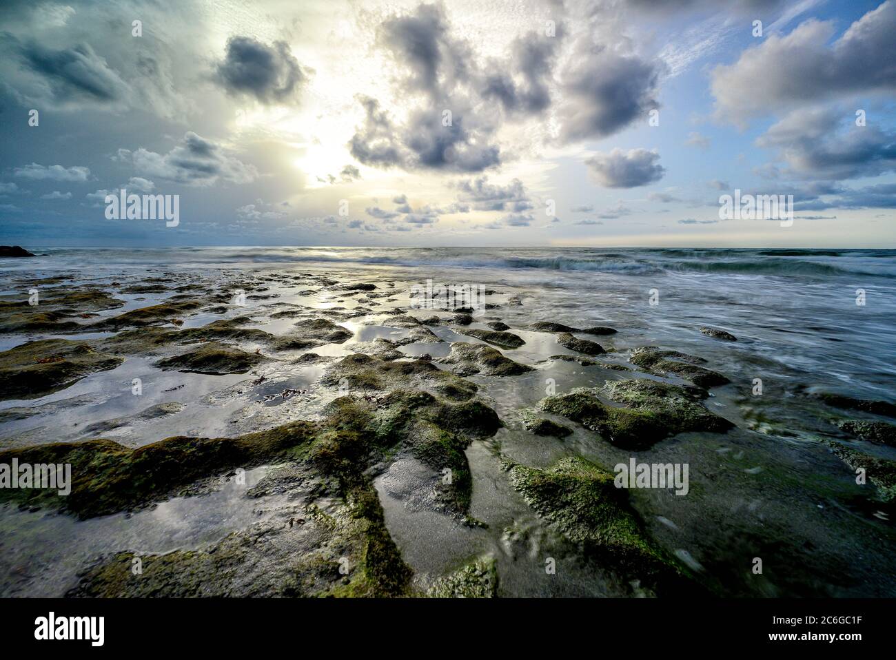 Red reef park boca raton hi-res stock photography and images - Alamy