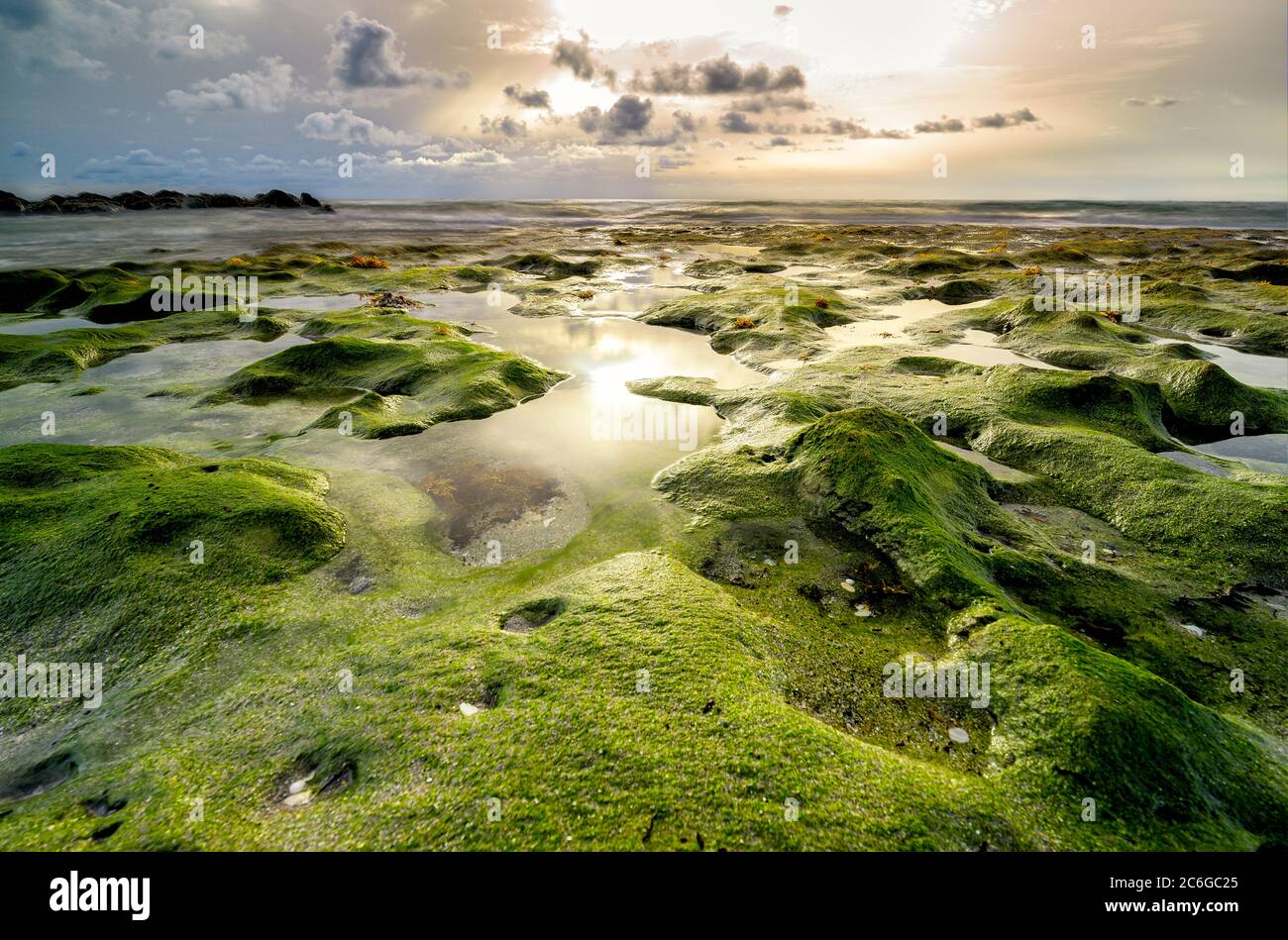 Rising sun illuminates the wet algae on the rocks at Red Reef Park in ...