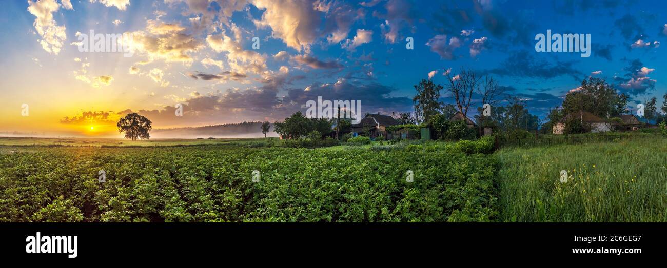 Sunrise over a garden hi-res stock photography and images - Alamy