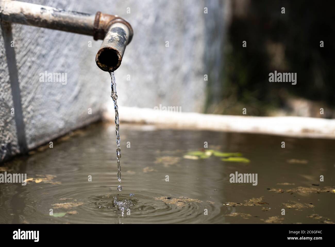 Clean water source in the forest. Iron pipe flows into the small ...