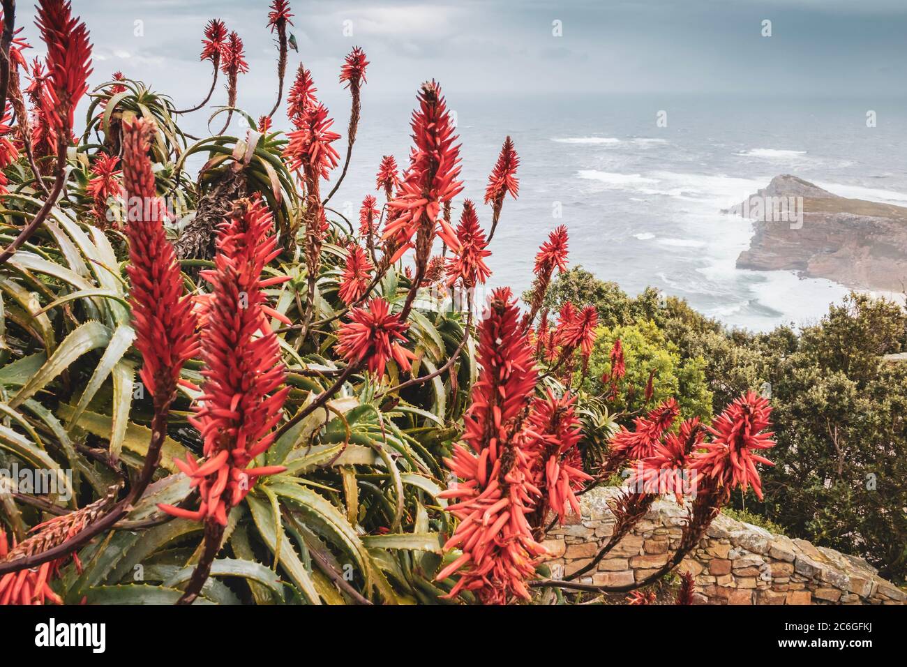Beautiful misty sea from a view point at Cape Point Nature Reserve ...