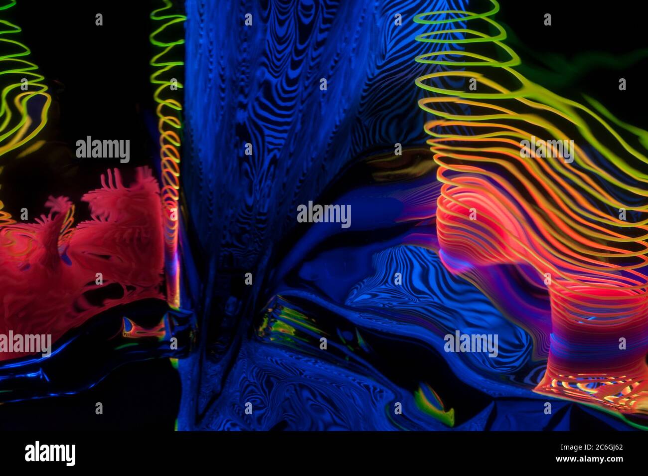 Fuzzy and circular objects in a close-up view and reflections are lit ...