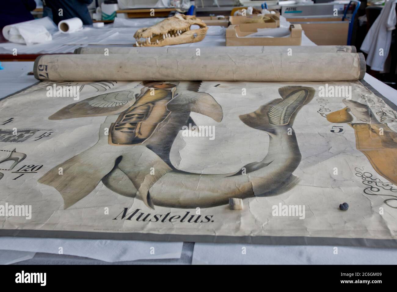 Conservation, techniques, preservation, ancient, artefacts, fragile ...