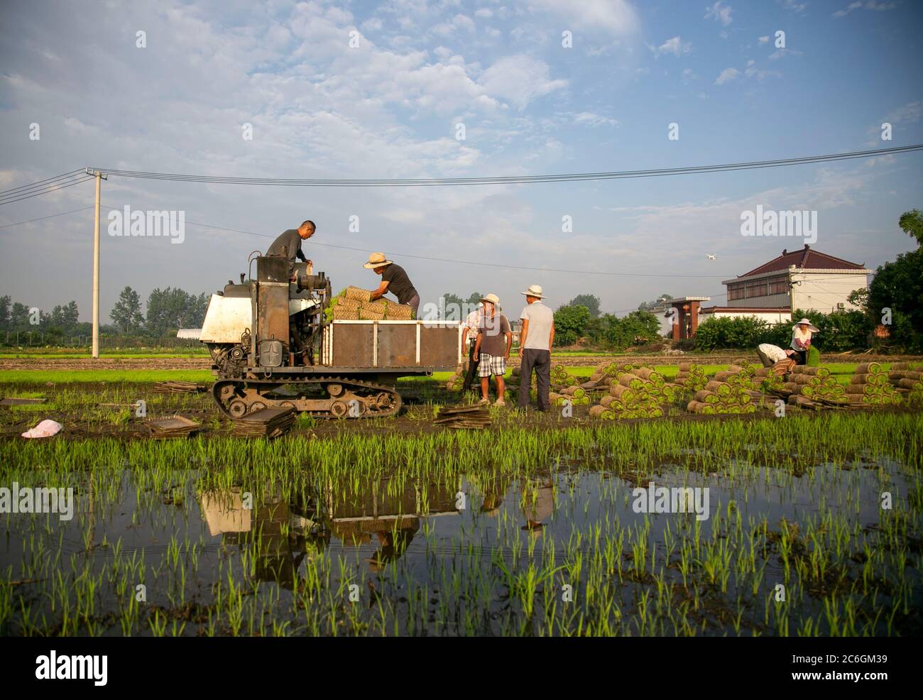 China rice farming jiangsu hi-res stock photography and images - Alamy