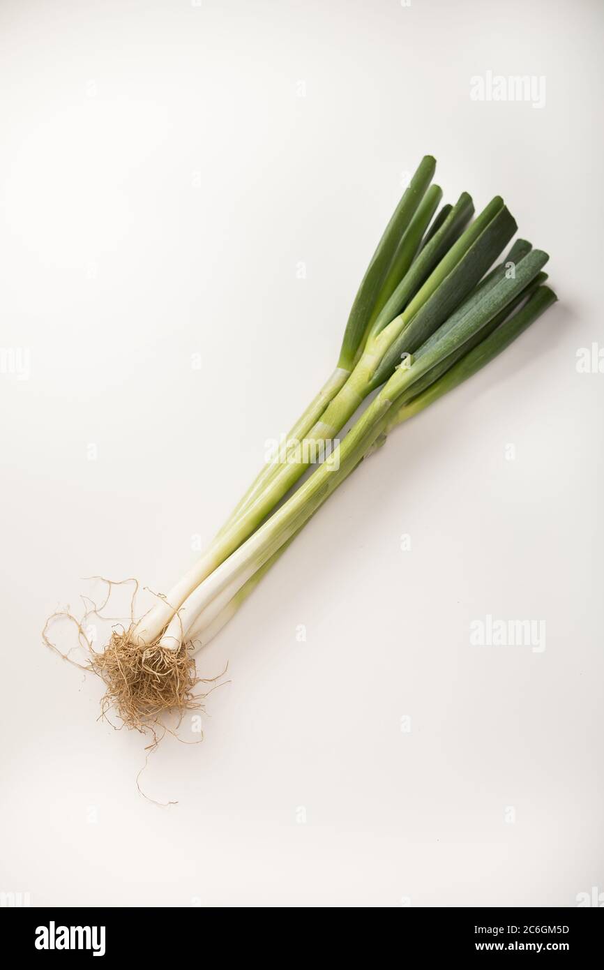 green onion(scallion,spring onion, welsh onion Stock Photo - Alamy