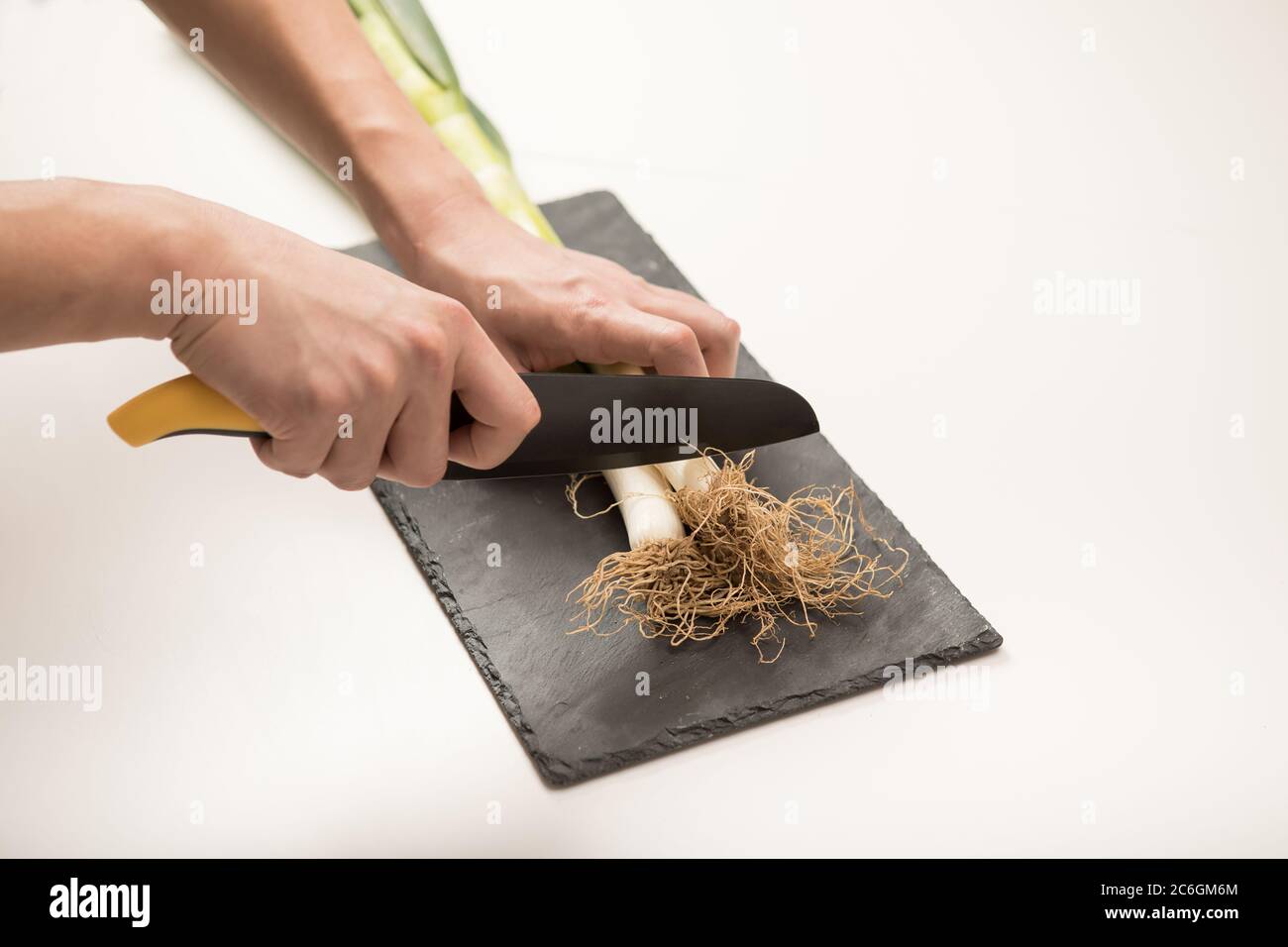 green onion(scallion,spring onion, welsh onion Stock Photo - Alamy