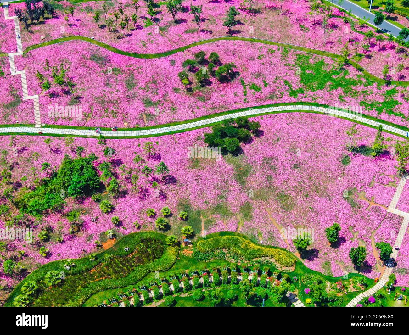 American crop artist and painter Stan Herd brings his unique agri-glyph ...