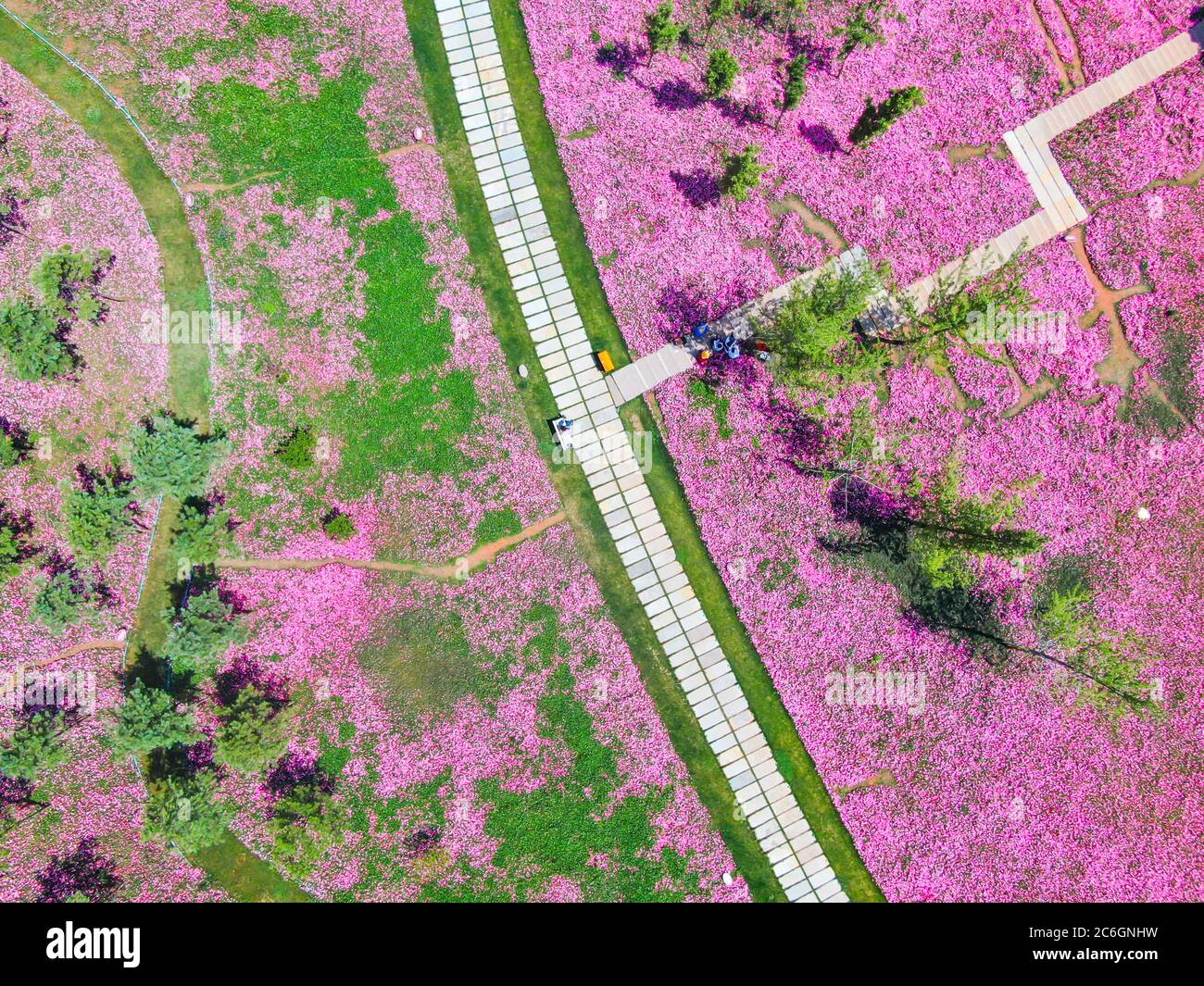 American crop artist and painter Stan Herd brings his unique agri-glyph ...