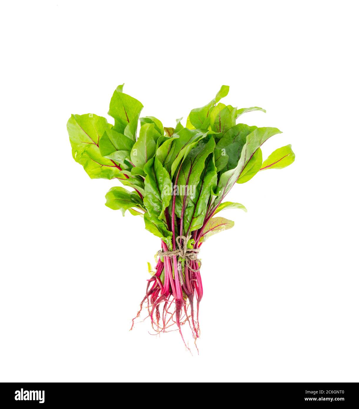 Micro chard hi-res stock photography and images - Alamy