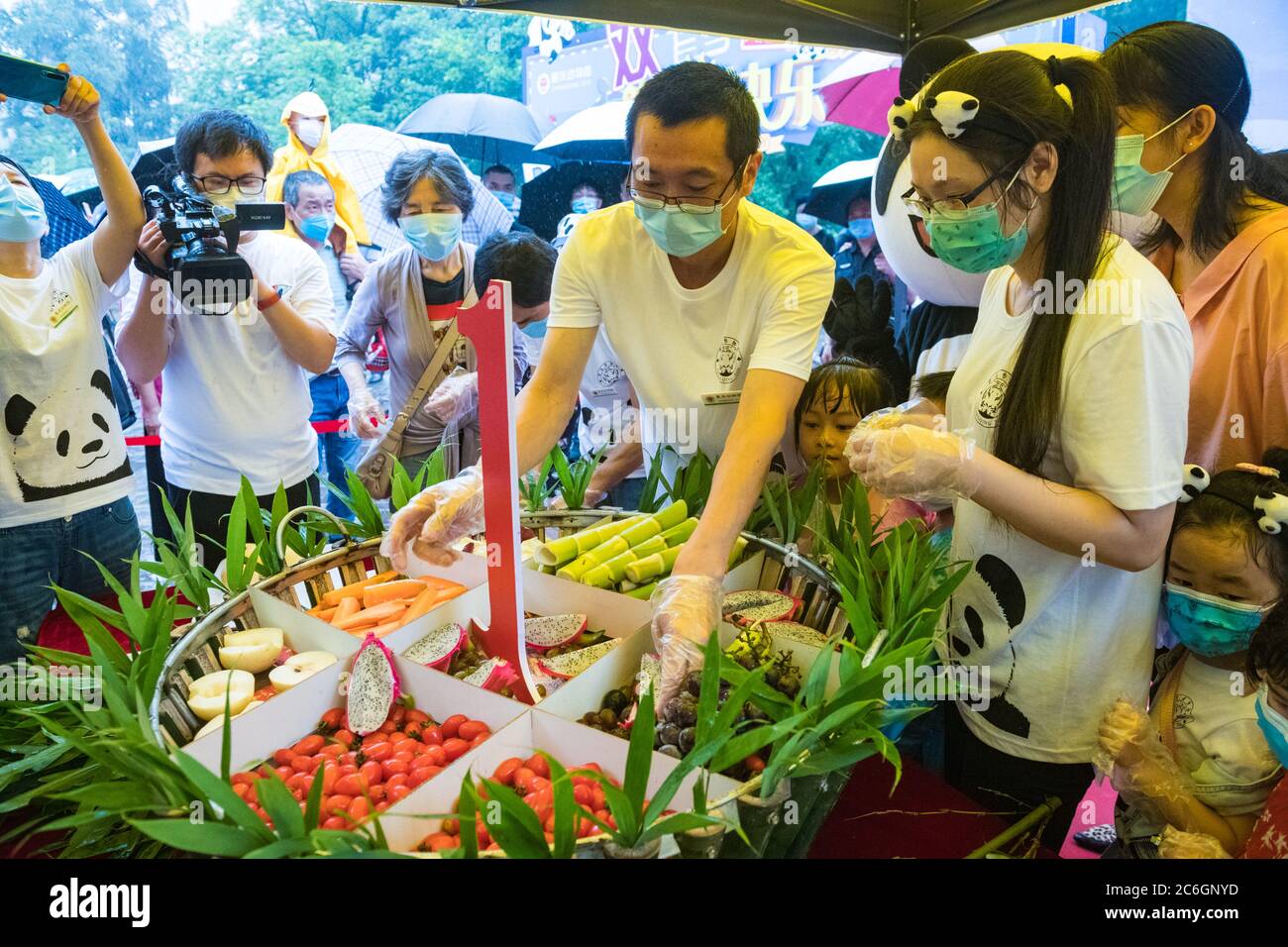 Panda cubs Shuangshuang, Chongchong, Xixi and Qingqing with their "hot ...