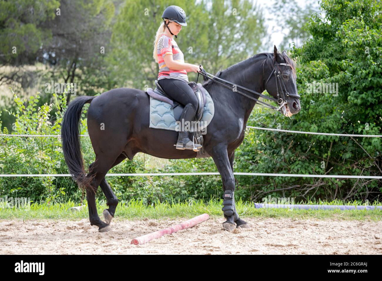 riding girl are training her horse in equestrian center Stock Photo - Alamy