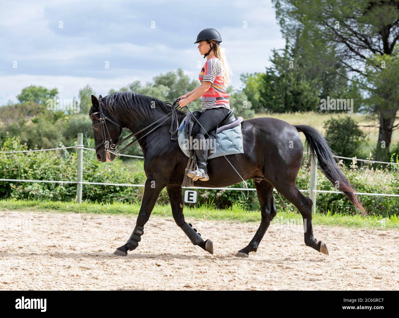 riding girl are training her horse in equestrian center Stock Photo - Alamy