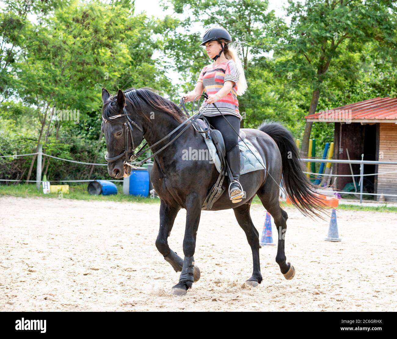 riding girl are training her horse in equestrian center Stock Photo - Alamy