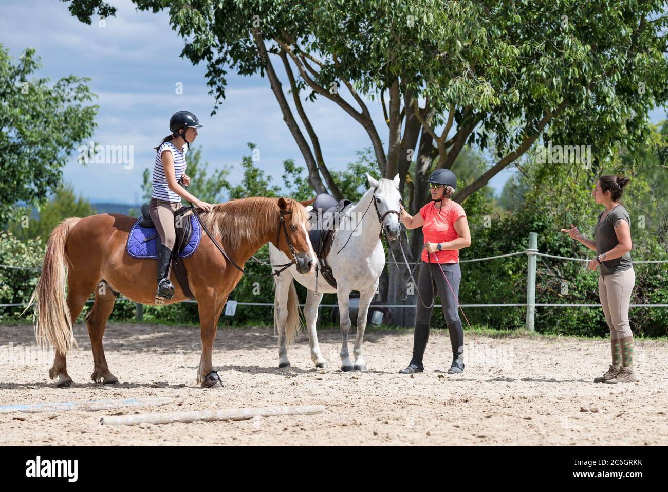 riding girl are training her horse in equestrian center Stock Photo - Alamy