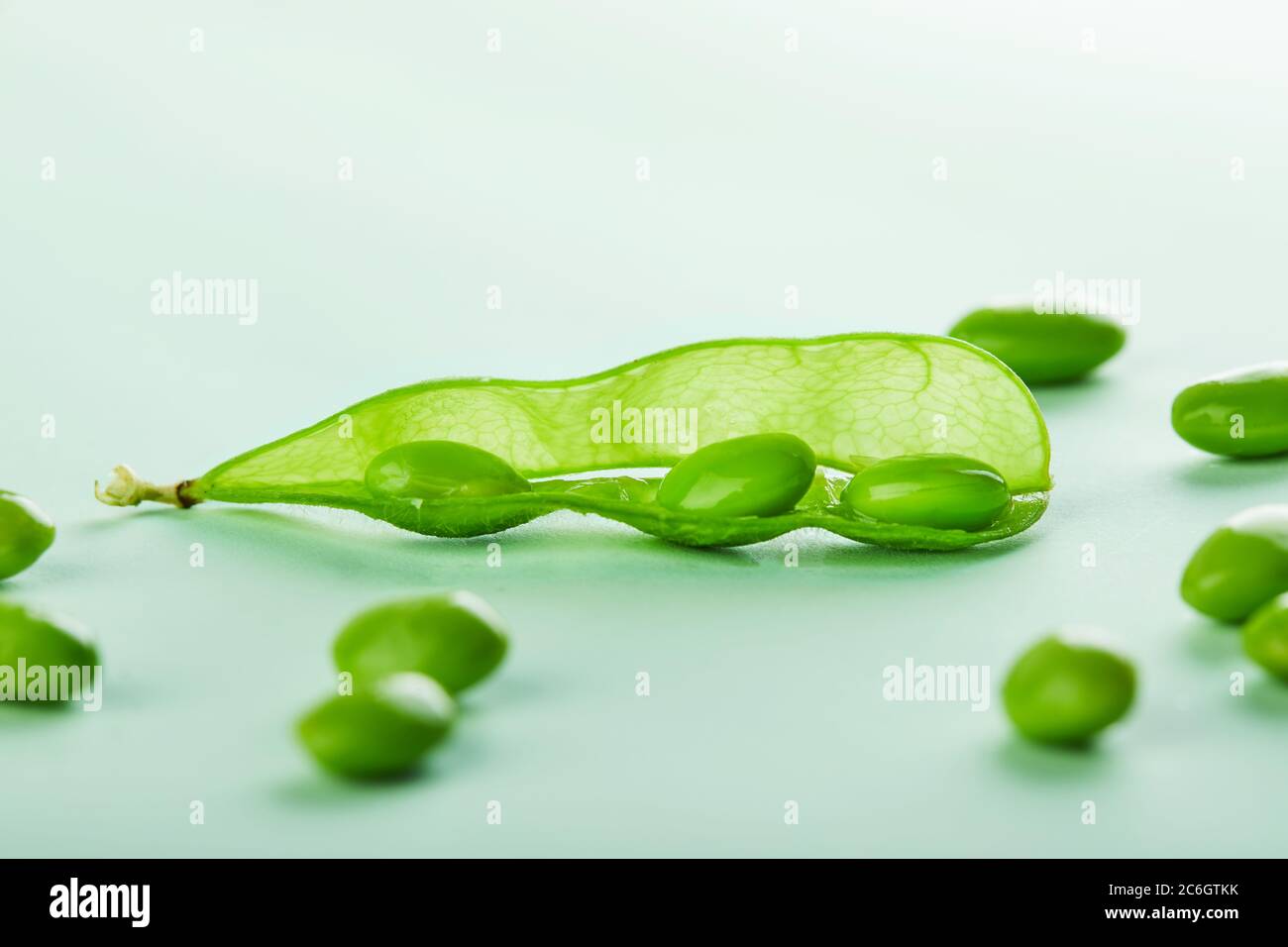 An opened pod of Edamame or soybeans is isolated on a turquoise ...