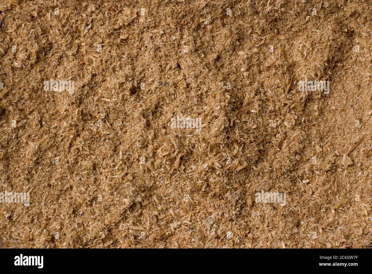 background and texture of wooden sawdust and wood dust close-up Stock ...