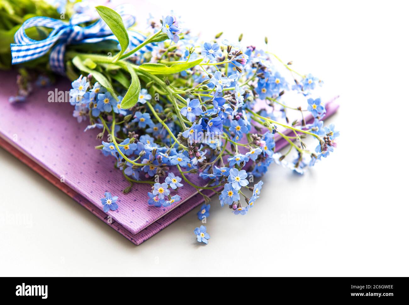 Forget me not flowers and notebook on white background Stock Photo - Alamy
