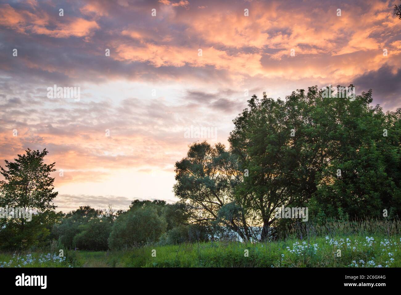 Forrest sunset hi-res stock photography and images - Alamy