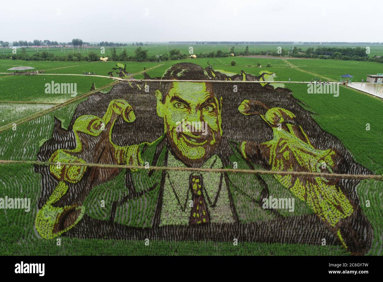 Aerial view of the rice field painting in Shenyang city, northeast ...