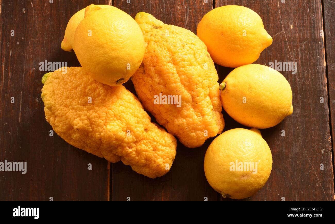 Non toxic cultivation hi-res stock photography and images - Alamy